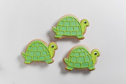 Turtle Favors | The Flour Pot