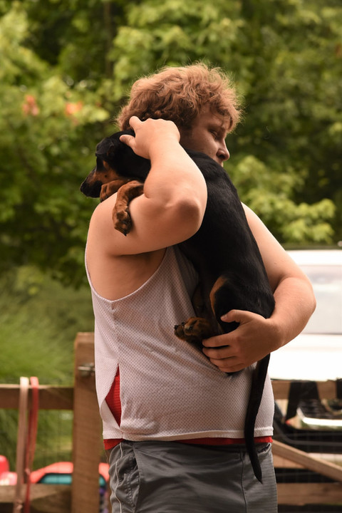 About | Furry Tales Rescue