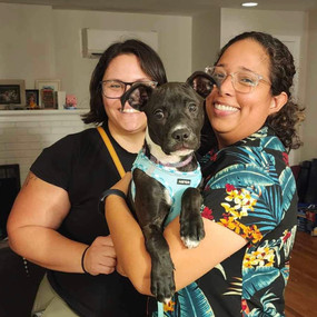 Home | Furry Tales Rescue