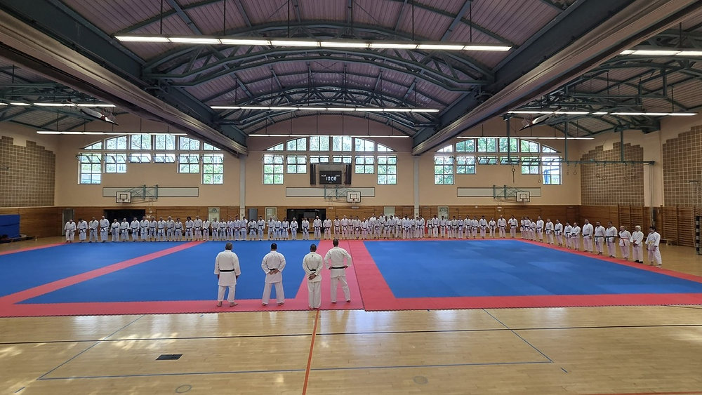 Shotokan Lehrgang und Danprüfung mit Samad Azadi, Christian Esni und ...