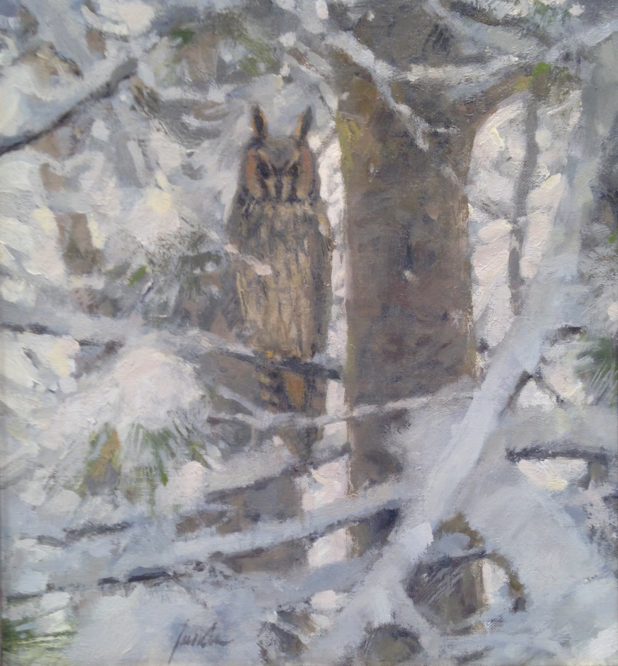 Cooper & Smith Gallery: Natural Impressions by James Coe