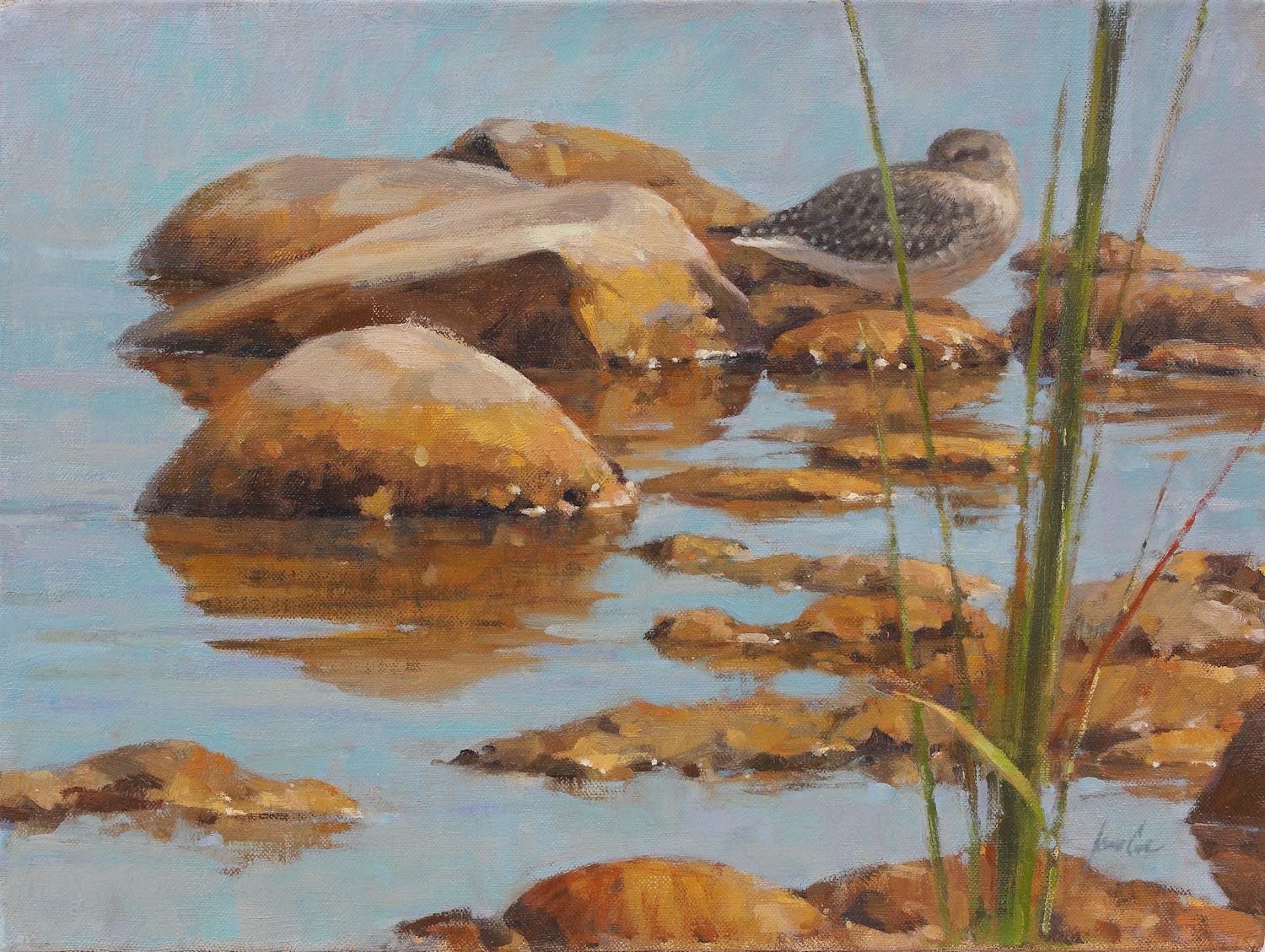 Cooper & Smith Gallery: Natural Impressions by James Coe