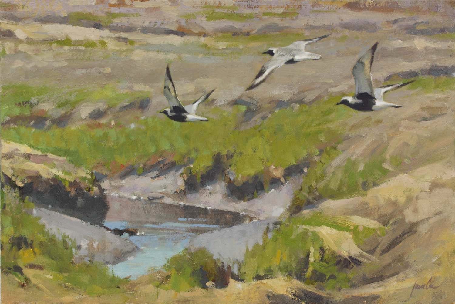 Cooper & Smith Gallery: Natural Impressions by James Coe