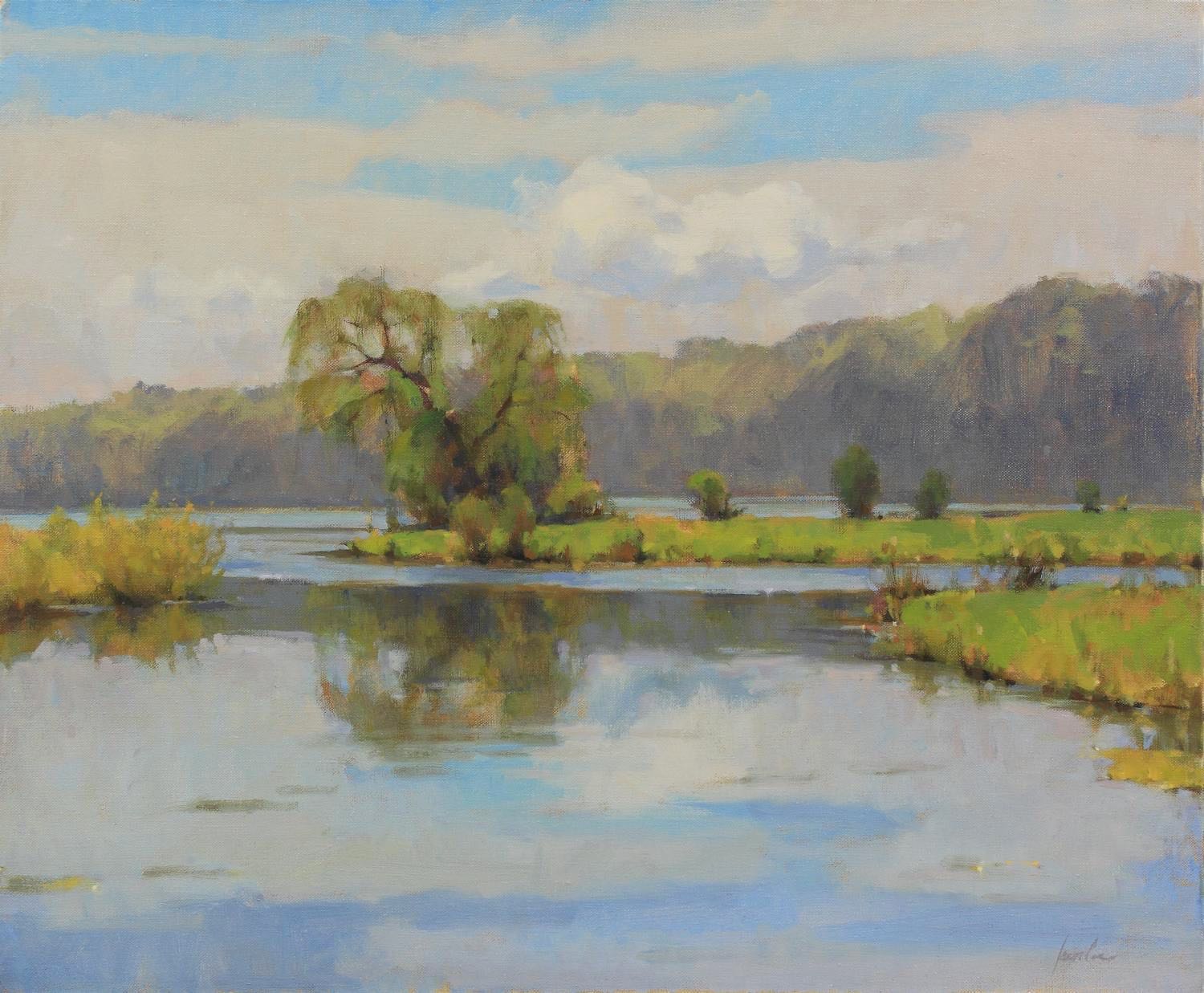 Cooper & Smith Gallery: Natural Impressions by James Coe