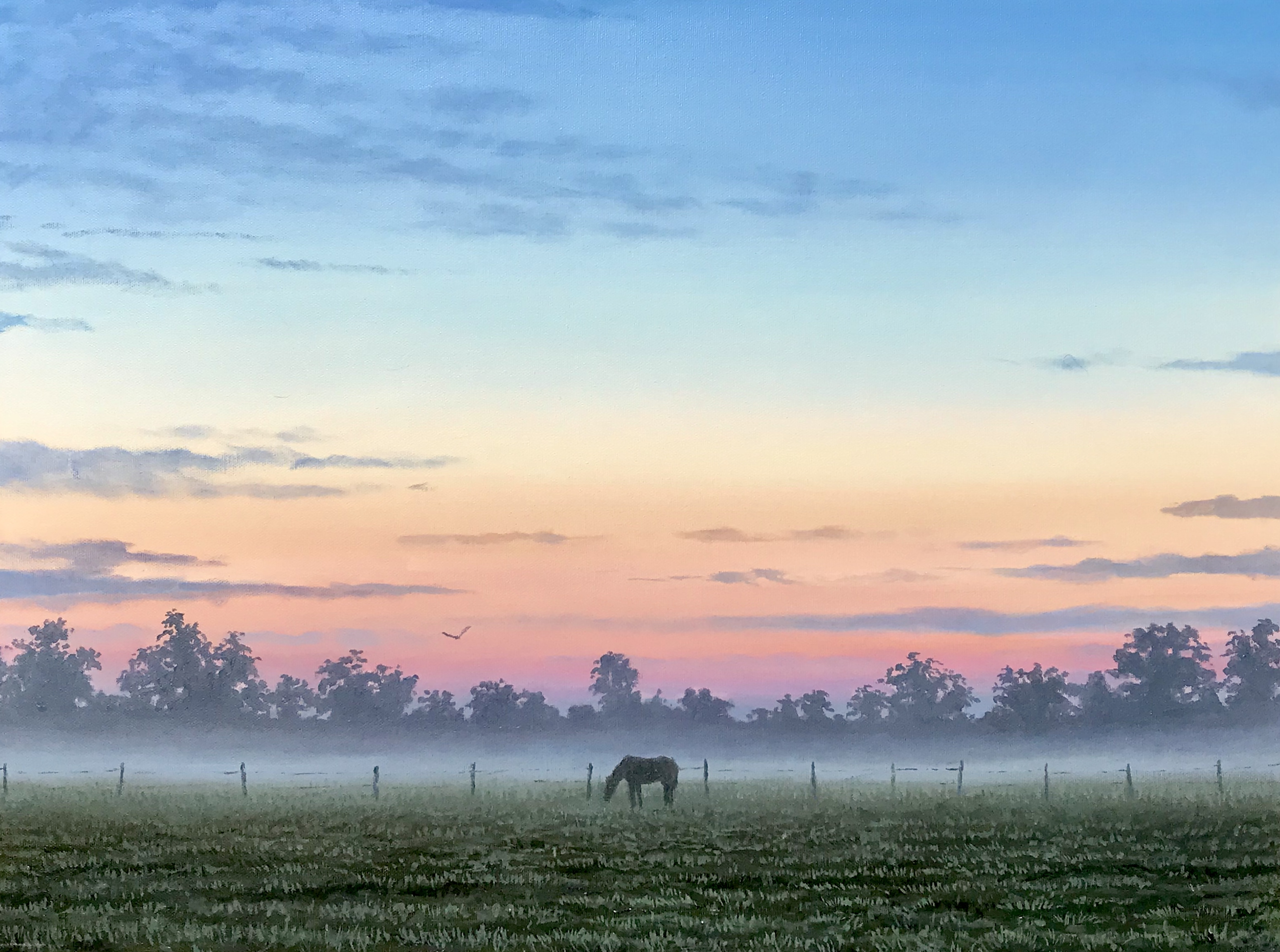 Art Gallery | Wes VanDyke Art | United States