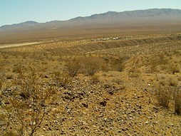 GOLER GULCH (North of Randsburg/El Paso | mysite-1