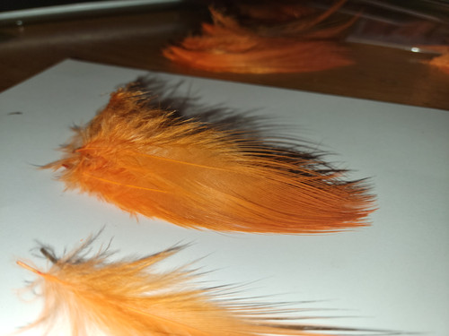 Plumes AAA de Héron Teint Orange Rouille - Rust Orange | Shed à Plumes
