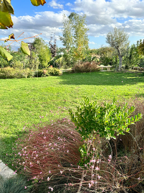 The Farm | Blerina Agritourism