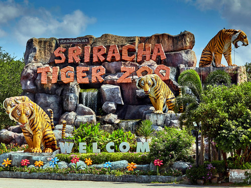 A Day Tour Pattaya Sriracha Tiger Zoo Tour Package | D Asia Travels