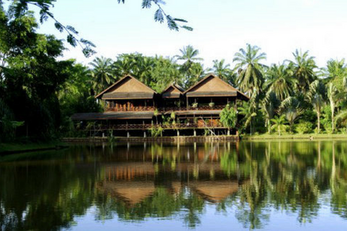 4D3N Selingan Turtle Island, Sepilok , Gomantong, Sukau / Oxbow Tour ...