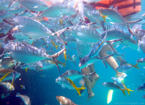 3 Days 2 Nights Gemia Island Honeymoon Tour Package-Kuala Lumpur City To