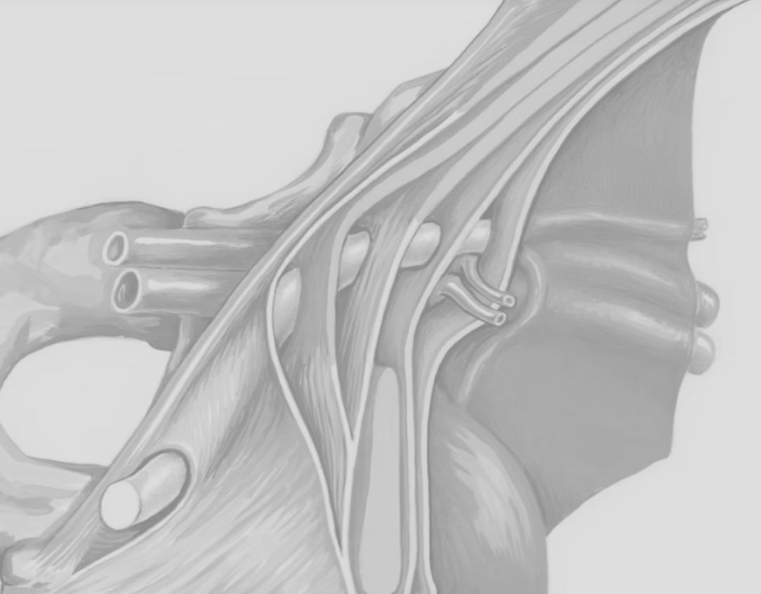 The Accuracy of IJV/CCA CSA Ratio Measurement for Assessing Volume ...