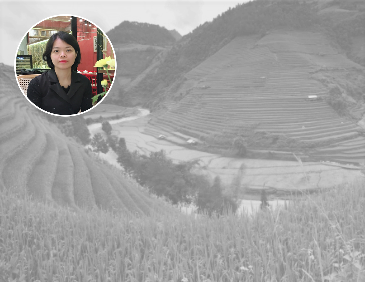 Kristin Hallberg's Instagram, Twitter & Facebook on IDCrawl