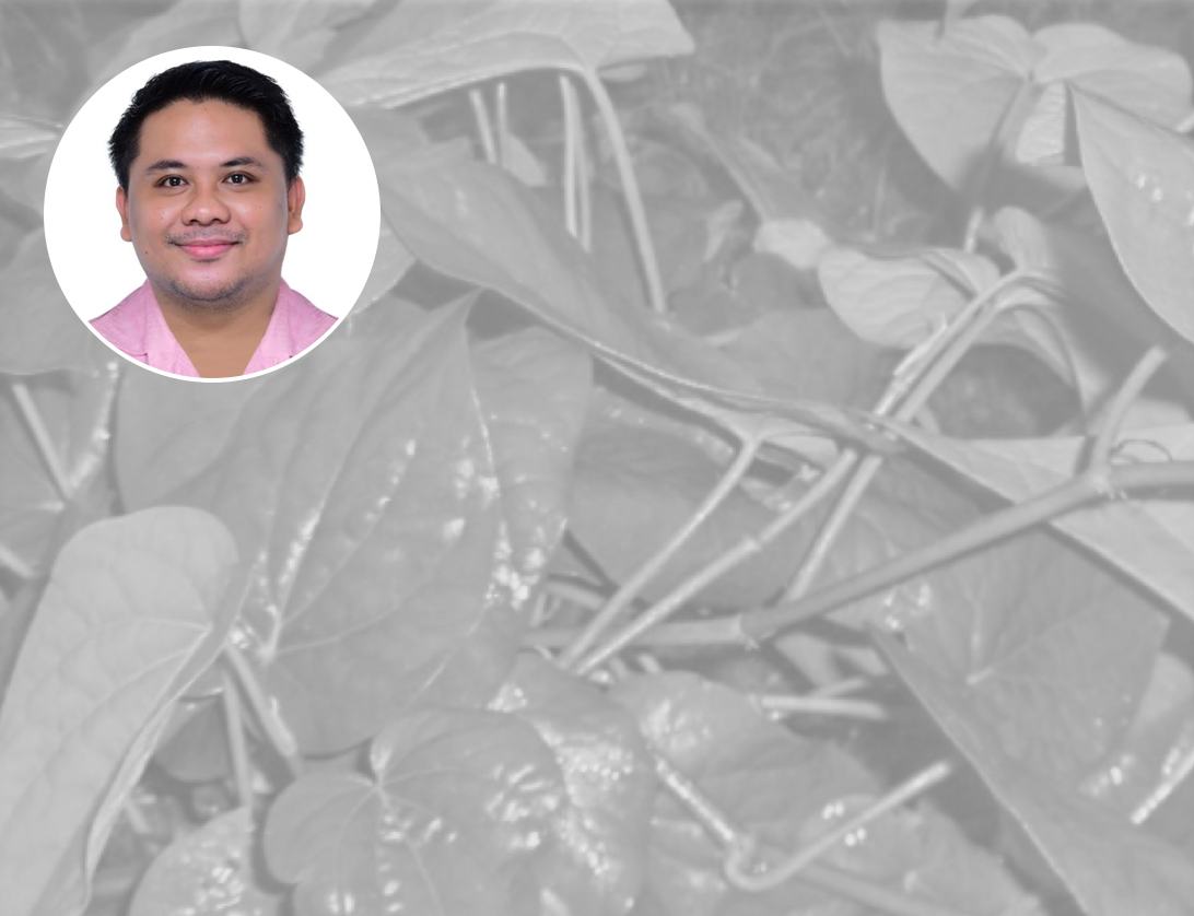 Evaluation of Toxicity of the Bioactive Components from the Stem of ...