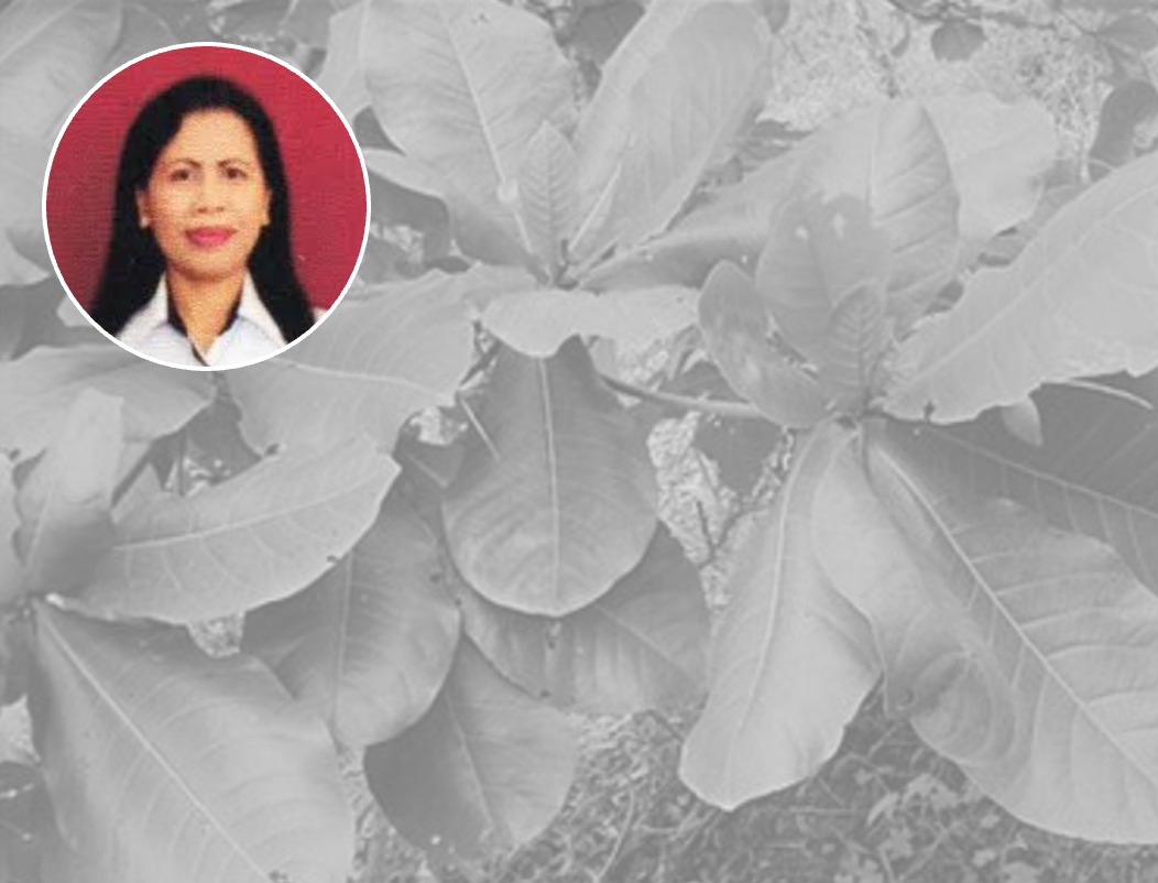 Compounds and Histopathological Effect of Terminalia Catappa L. Leaves ...