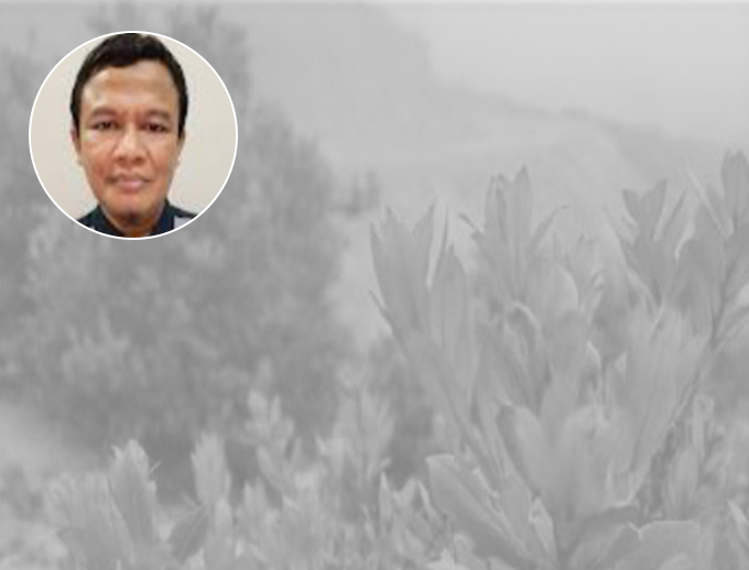 Capsule Dosage Forms Containing Natural Antioxidant Microcapsules of ...