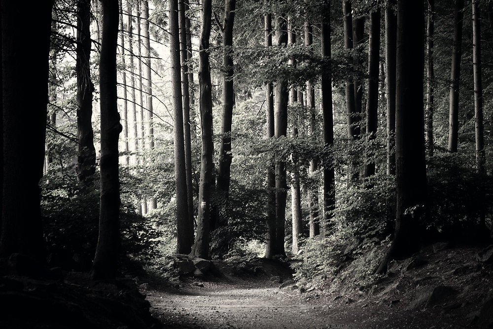 The Wilderness of Lent