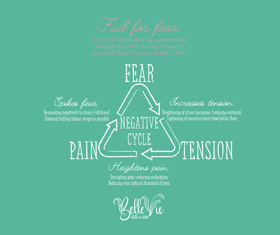 Negative cycle of Fear-Tension-Pain in birth