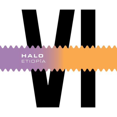 HALO | Seis Montes Café