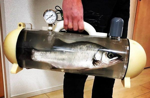 Marksmen Firearms and Outfitters | Your Outdoor Gear Headquarters