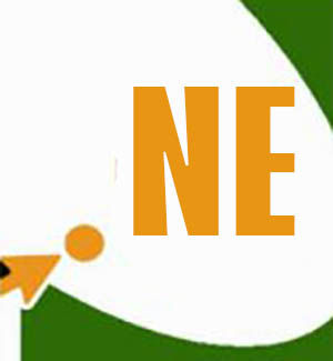 La particella pronominale NE