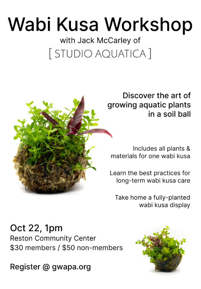 GWAPA Wabi-Kusa Workshop | Potomac Valley Aquar