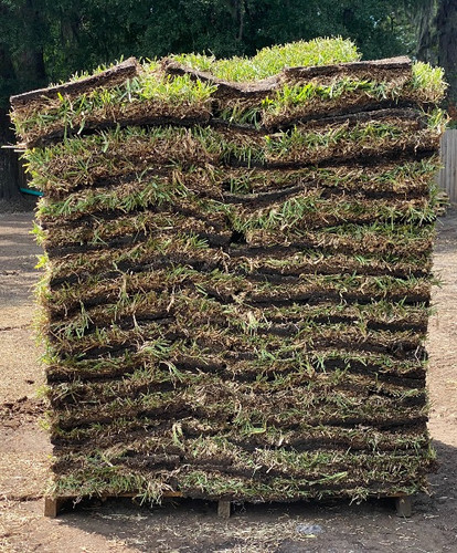St. Augustine Floratam Pallet | Sod-X Inc