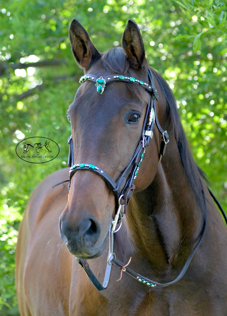 Mule Girl | Equine Jeweled Design