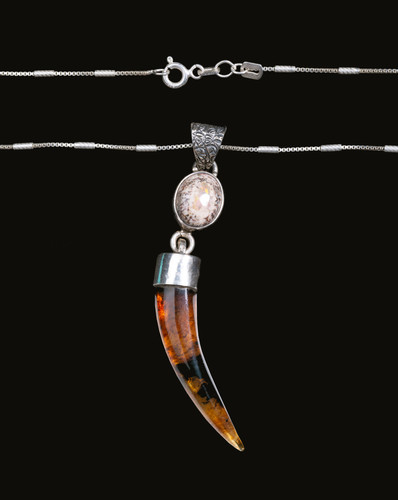 Amber Horn | Heard Gallery