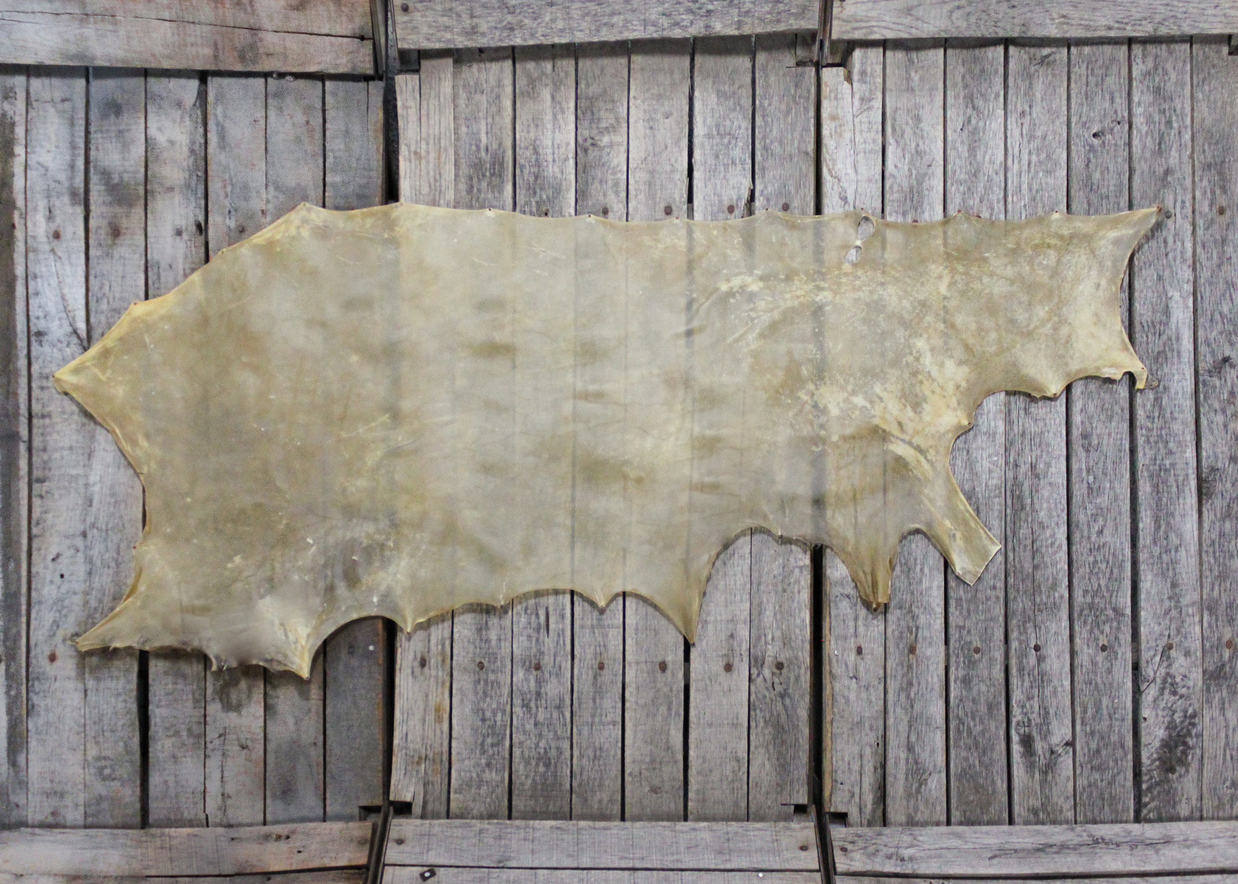 Rawhide | Thoroughbred Leather