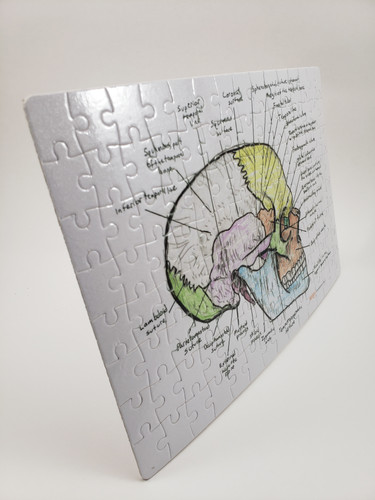 The Cranium - Puzzle | STUDIO GIVIX
