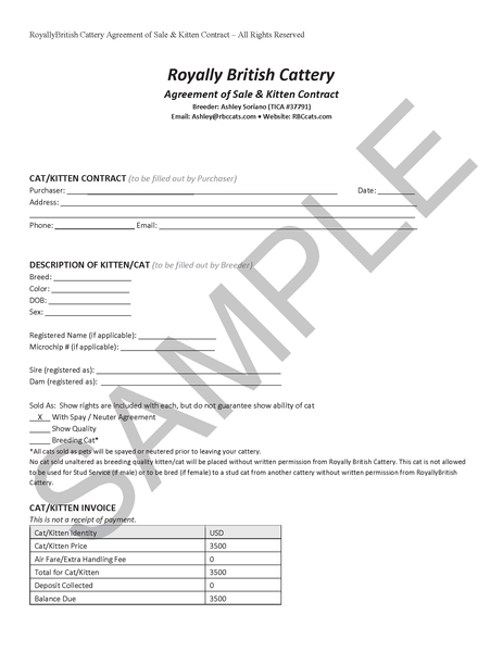 Kitten Contract Agreement | Royally British Cats