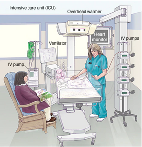 NICU Baby Vital Signs & Assessment