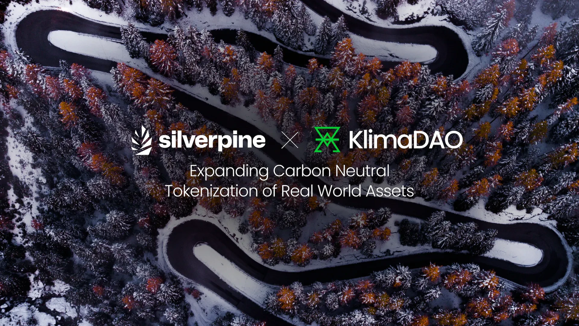 Silverpine x KlimaDAO: Expanding Tokenization of Real World Assets
