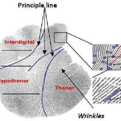 Palm Print Comparison Course | FORENSICS 360