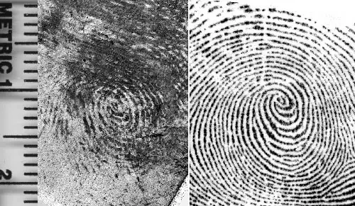 Basic Latent Print Analysis - IAI Approved | FORENSICS 360