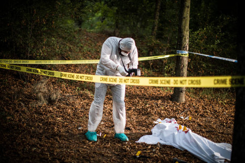 Crime Scene Photography | FORENSICS 360