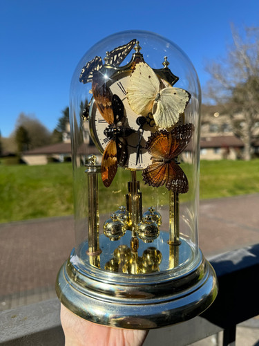 Butterfly/Cicada Display in Repurposed Cloche Clock | Hail Claytan