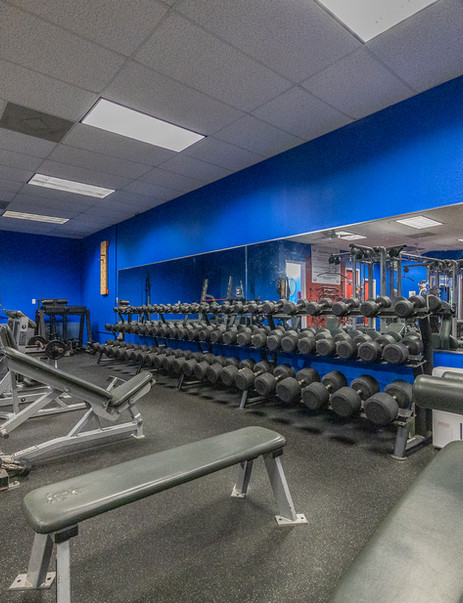 THE GYM | Central Fitness