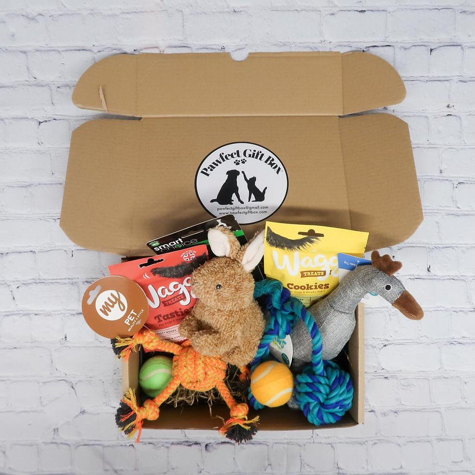 GIFT BOXES | Pawfect Gift Box