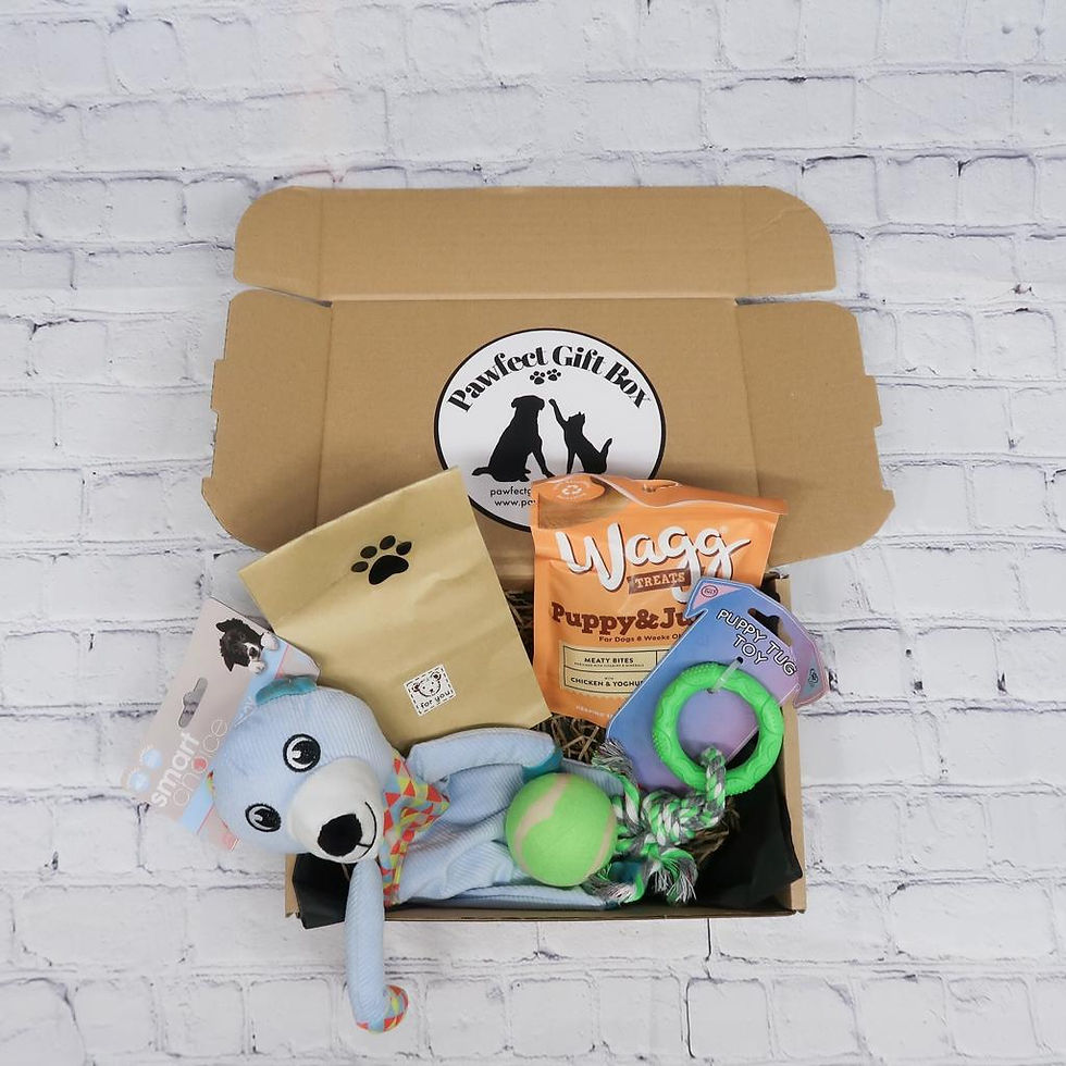 GIFT BOXES AND MORE | Pawfect Gift Box