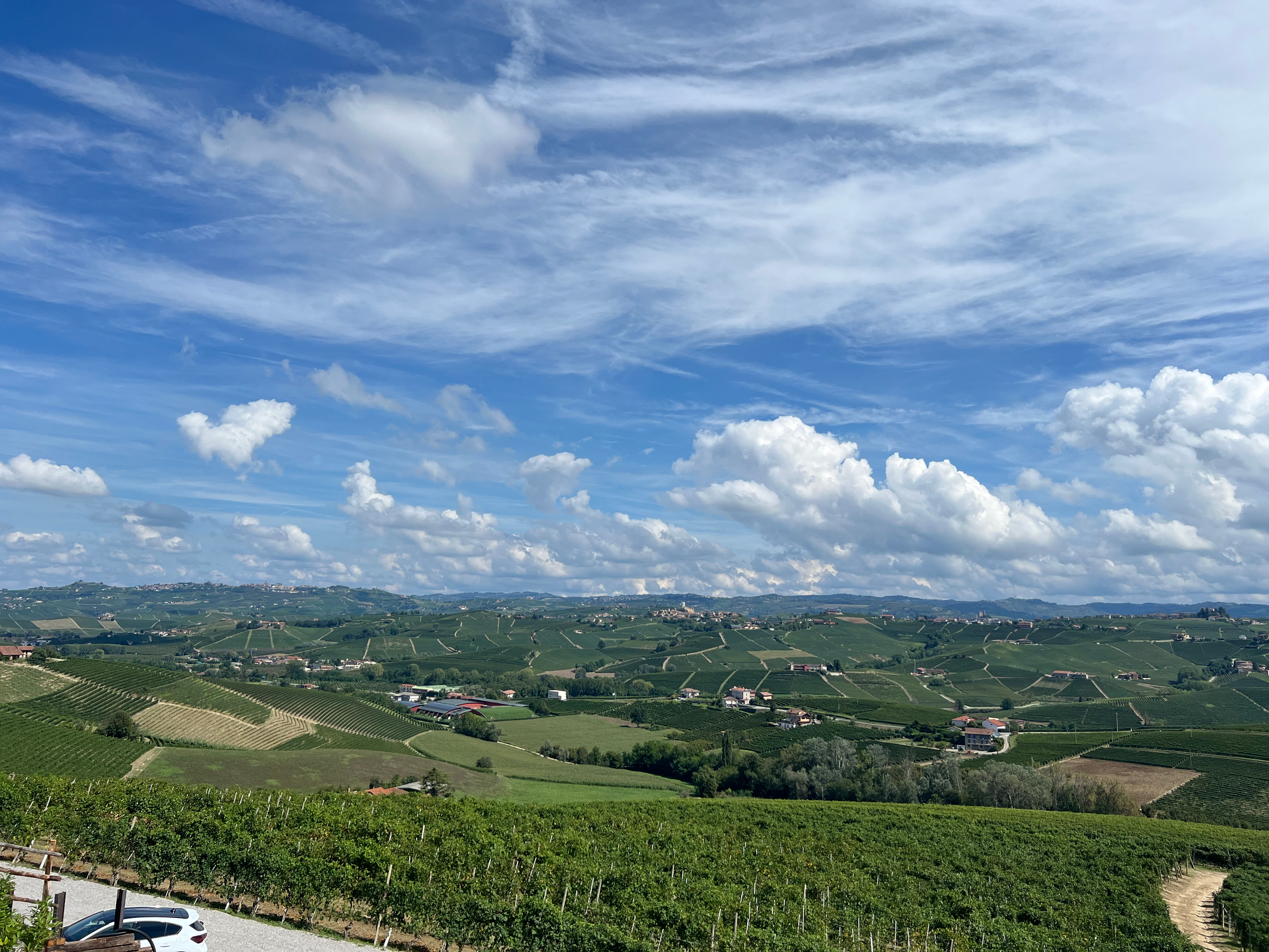 Small Group Food and Wine Tours - Piemonte, Italy
