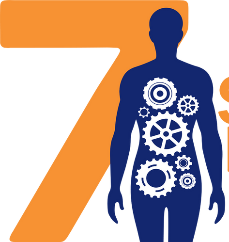 7 Systems Plan | Creekside Physical Therapy and Wellness