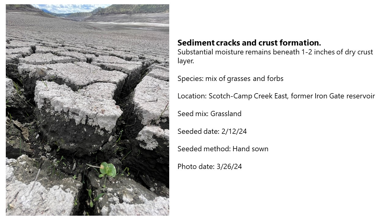 Klamath Dam Removal River Restoration Timeline