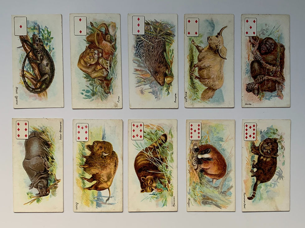 Wills Wild Animals Of The World Cigarette Cards | JSCards