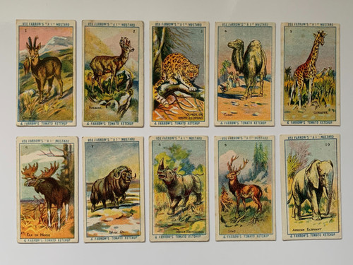 Farrows Animals In The Zoo Trade Cards | JSCards