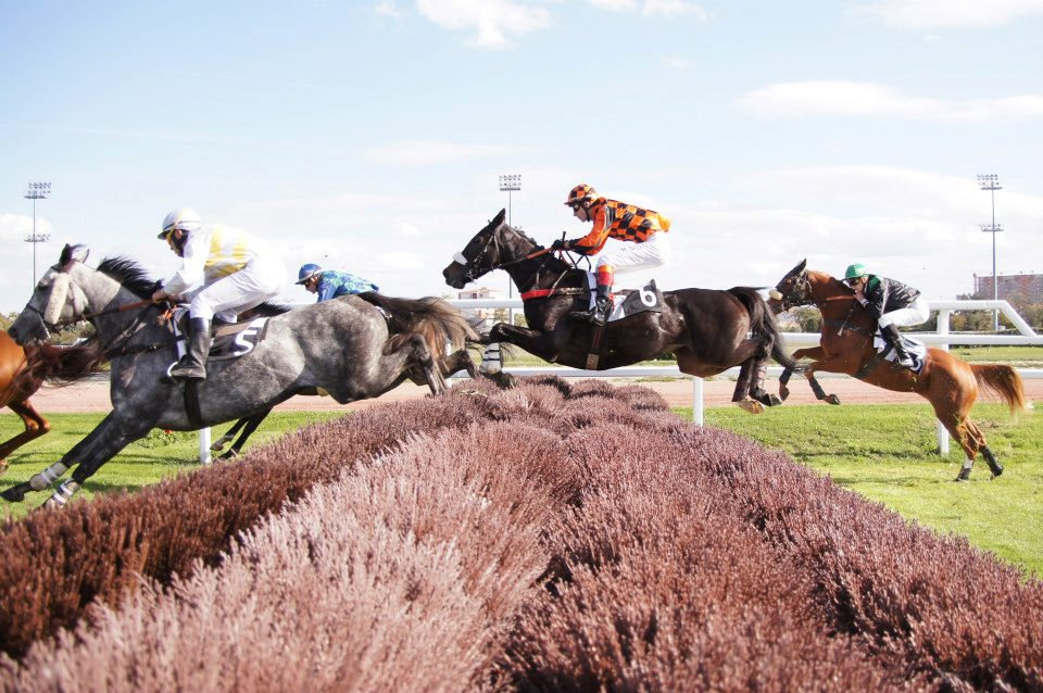 Courses Hippiques | Ecurie Nadot | France