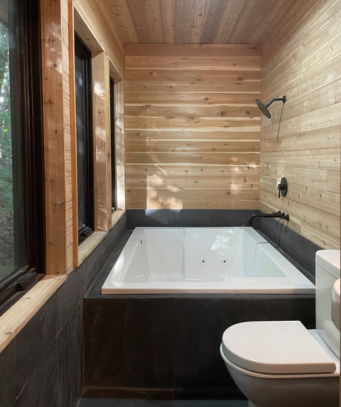 Shotgun Cabin | BEAR Architects