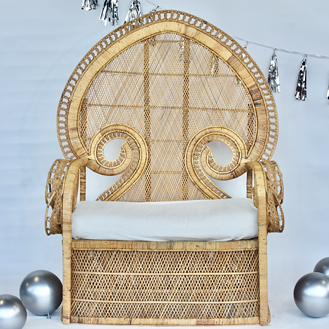 ALICE Double Peacock Chair Memorable Concepts
