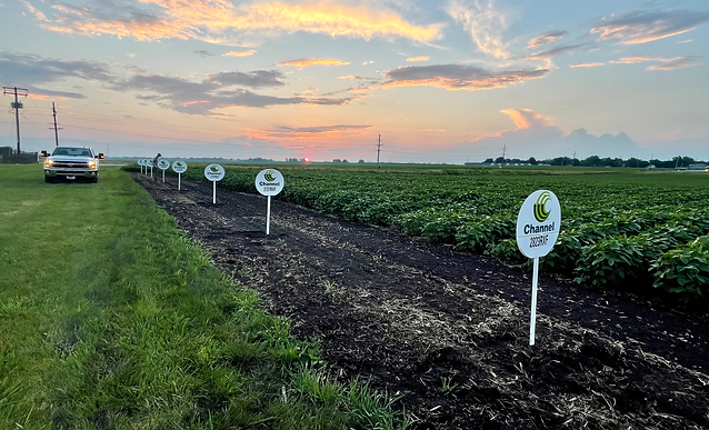 EITEN AG SOLUTIONS - CHANNEL SEED | Peru, IL